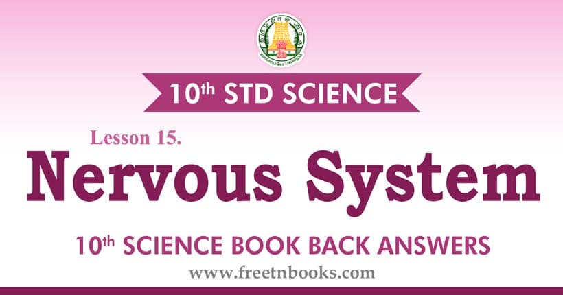 10th Std Science Guide in English | Nervous System