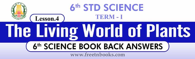 6th Standard Science Guide in English | The Living World of Plant