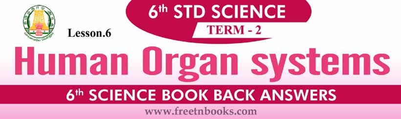 6th Standard Science Guide in English | Human Organ systems