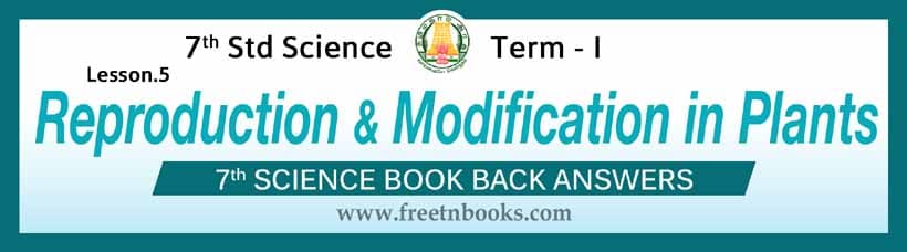 7th Std Science Guide in English | Reproduction and Modification in Plants