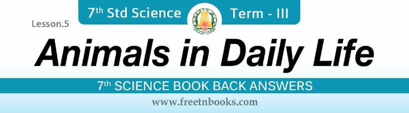 7th Standard Science Guide In English Animals In Daily Life 7th-standard-science-guide-in-english-animals-in-daily-life