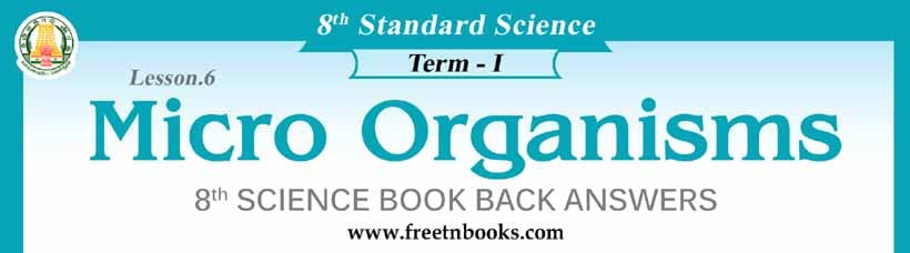 8th Standard Science Guide in English | Microorganisms