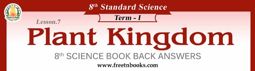 8th Standard Science Guide in English | Plant Kingdom