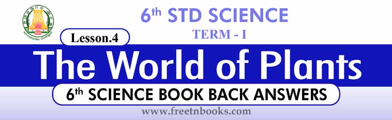 6th Standard Science Guide in English | The World of Plant